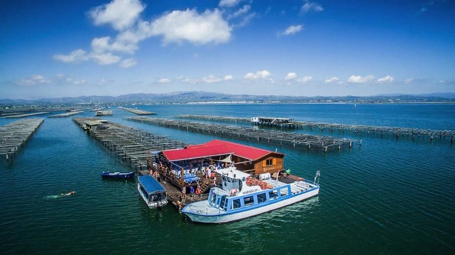 Mirador de la Badia | Deltebre, atracció natural